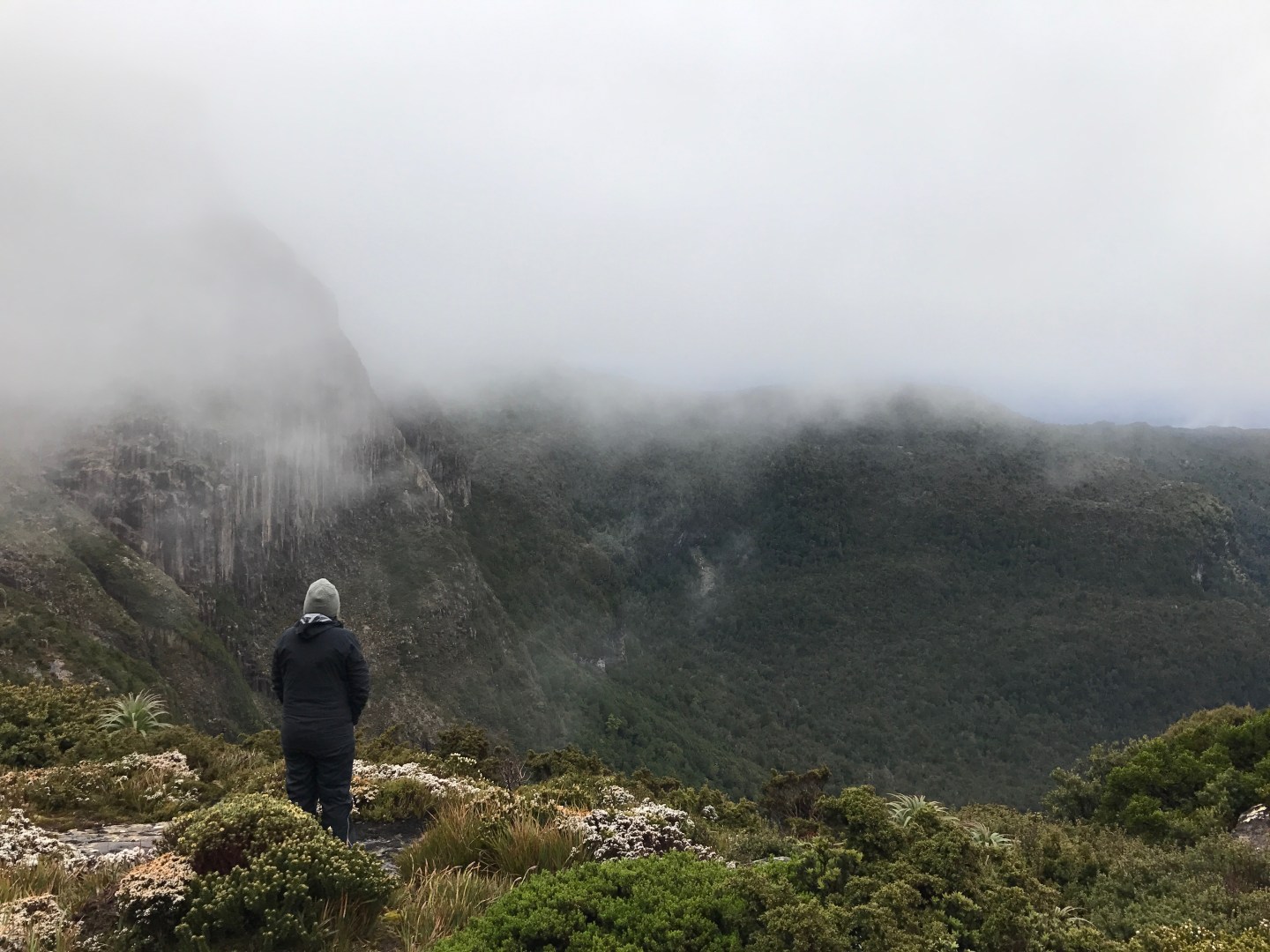 Mount Anne Circuit – tasmaniantraveller
